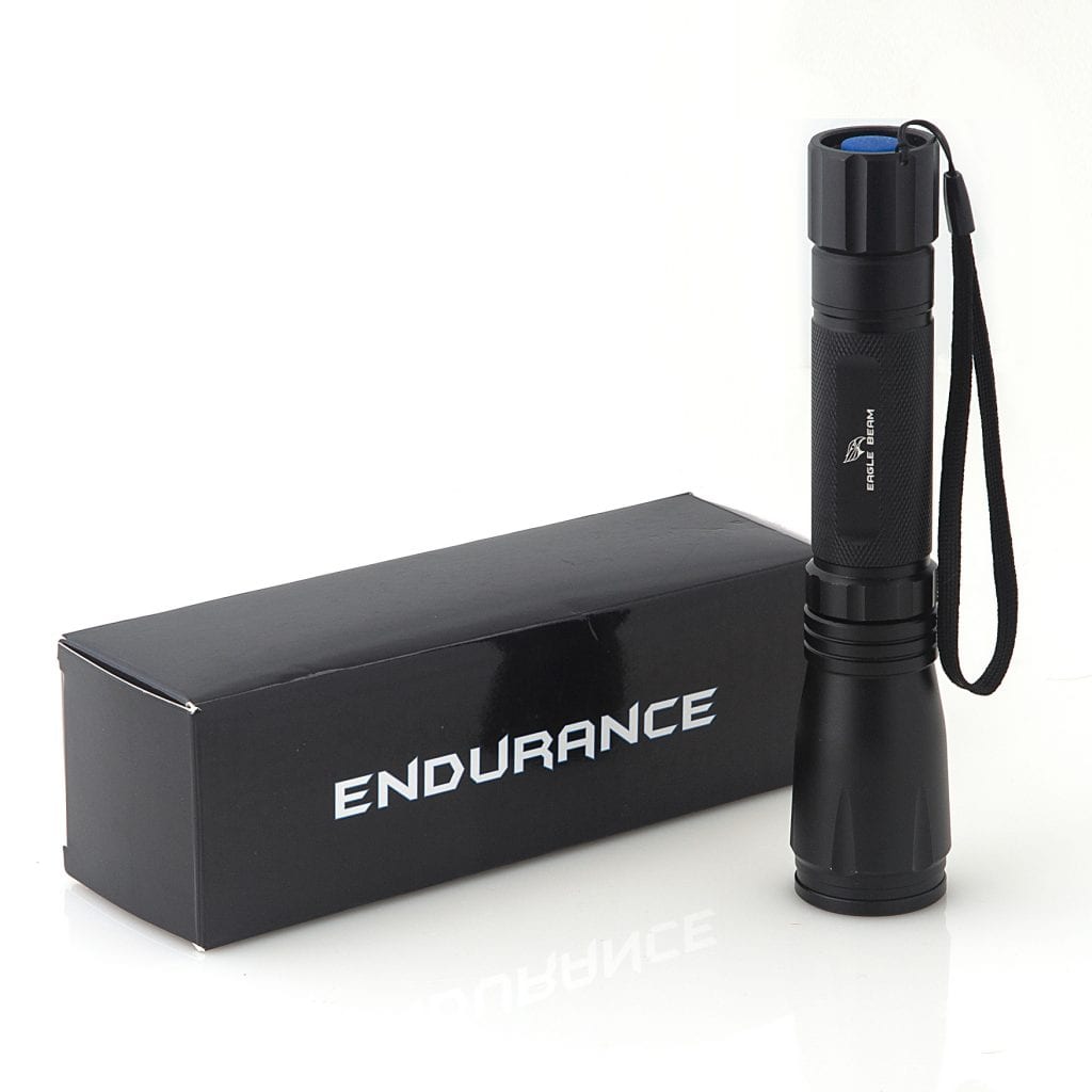 Endurance – Eagle Beam