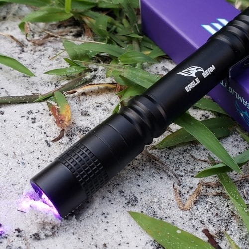 Eclipse – Eagle Beam