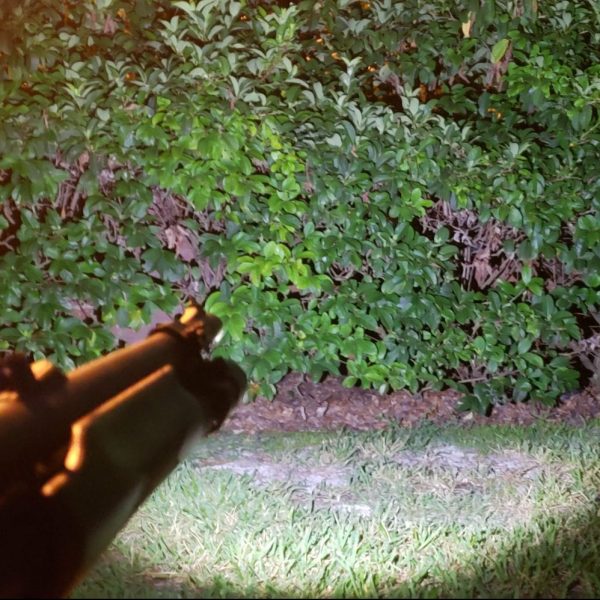 Flashlight Barrel Mount – Eagle Beam